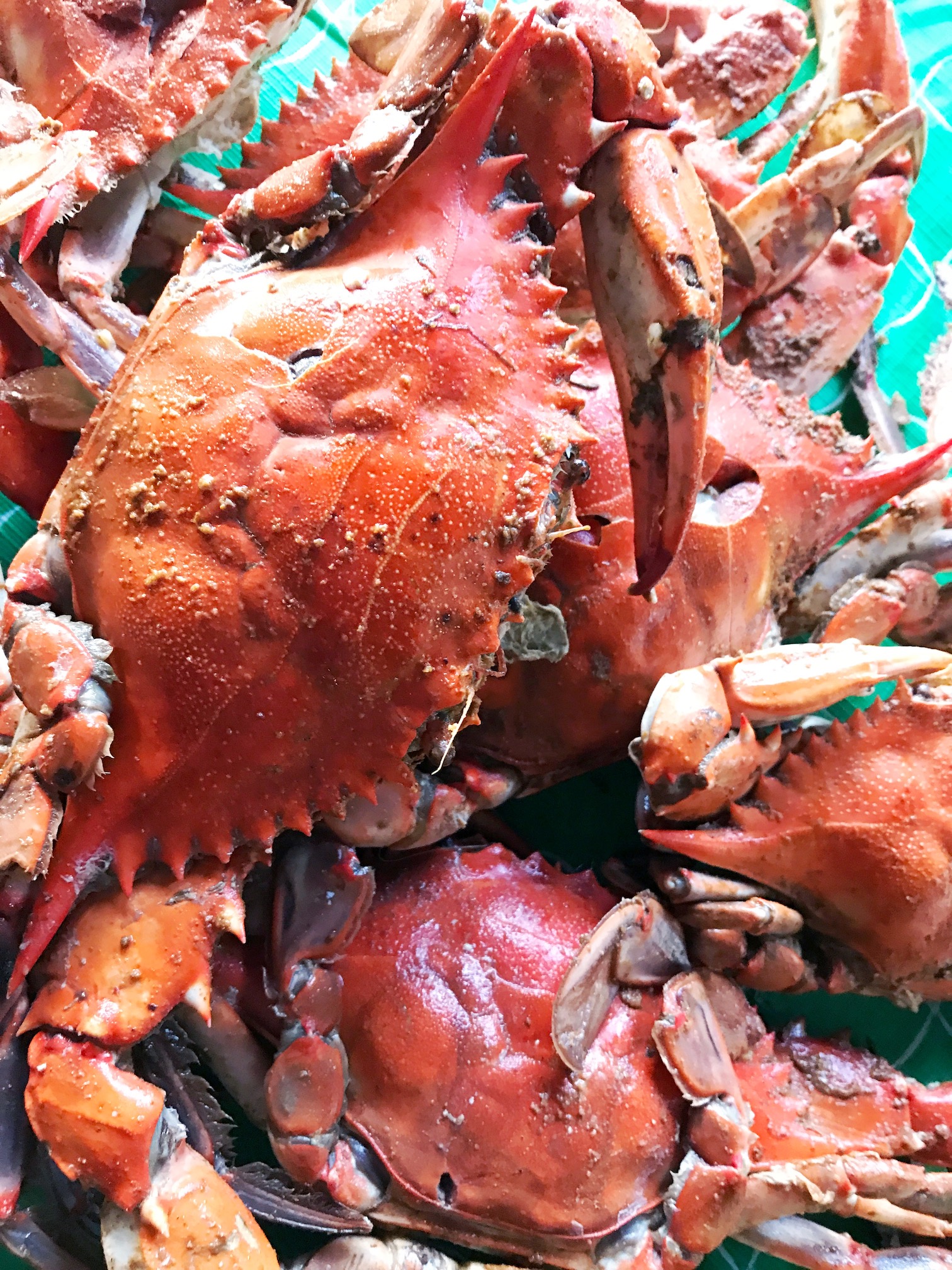 Host a Festive Crab Party | whitneysowles.com